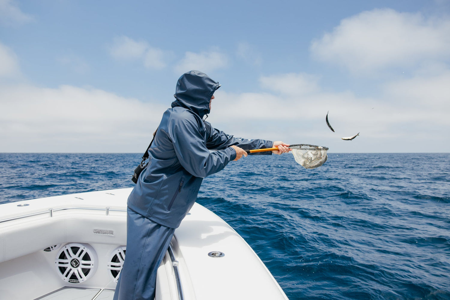 How to Fish With Live Bait – AFTCO