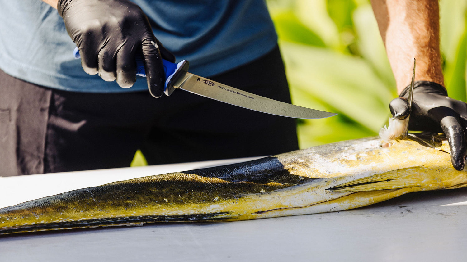 How to Fillet a Mahi Mahi – AFTCO