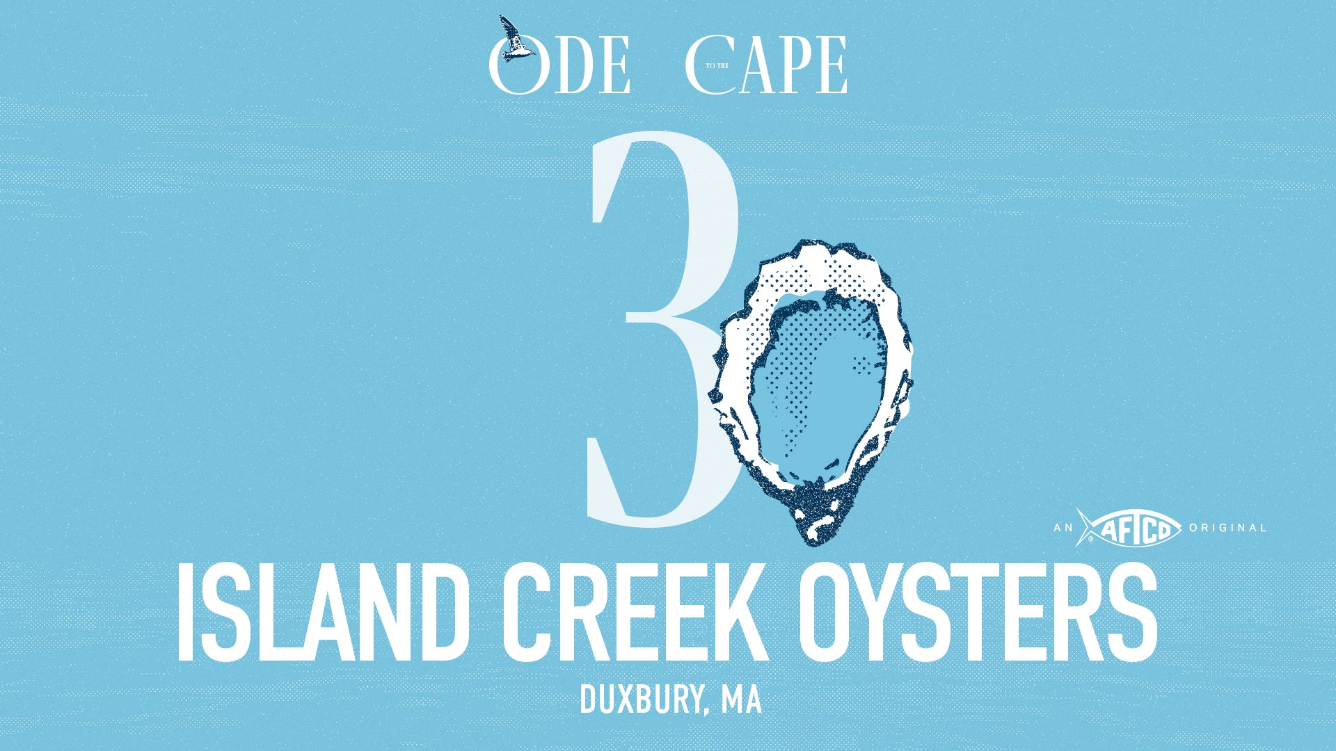 Ode to the Oyster Farmers – AFTCO