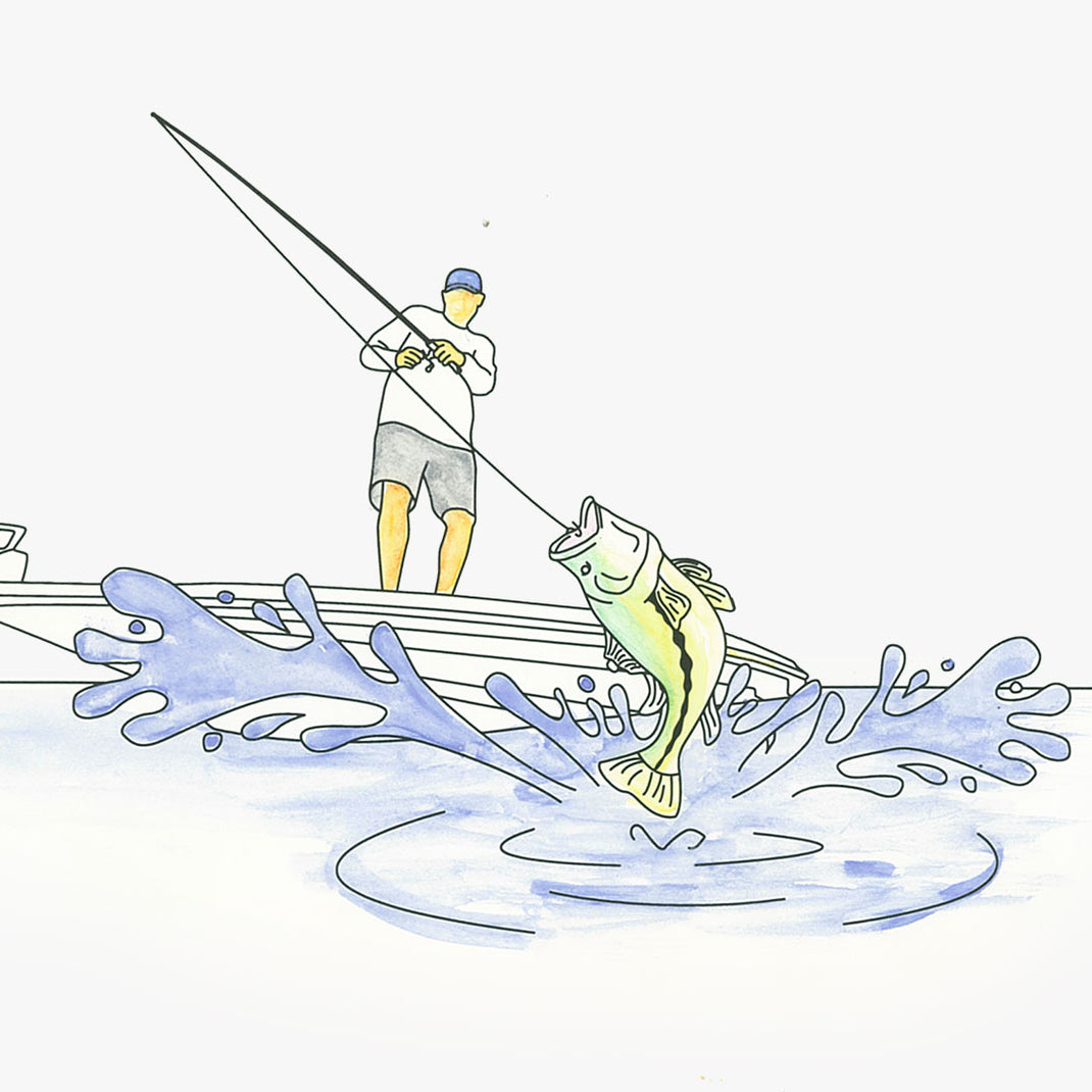 Bass Care 101 | AFTCO