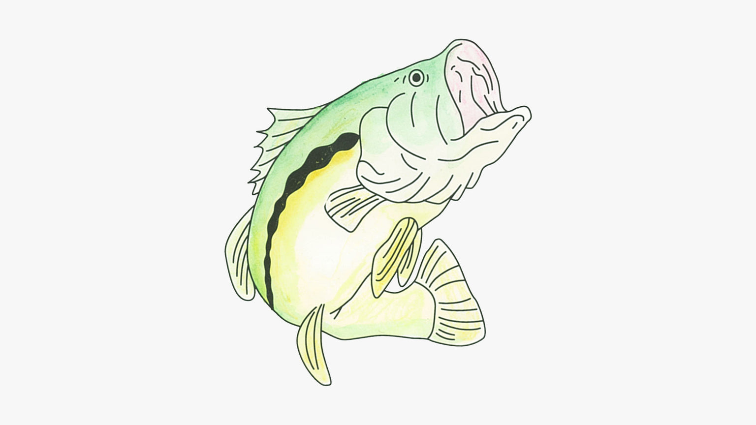 Bass Care 101 | AFTCO