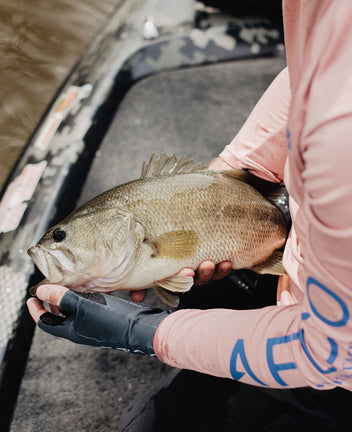 Bass Care 101 | AFTCO