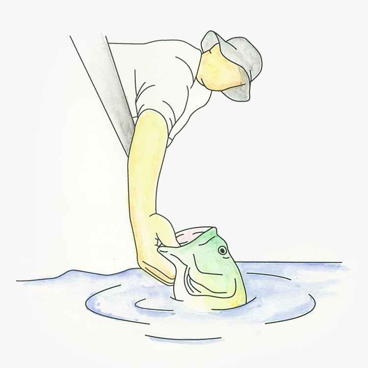 Bass Care 101 | AFTCO