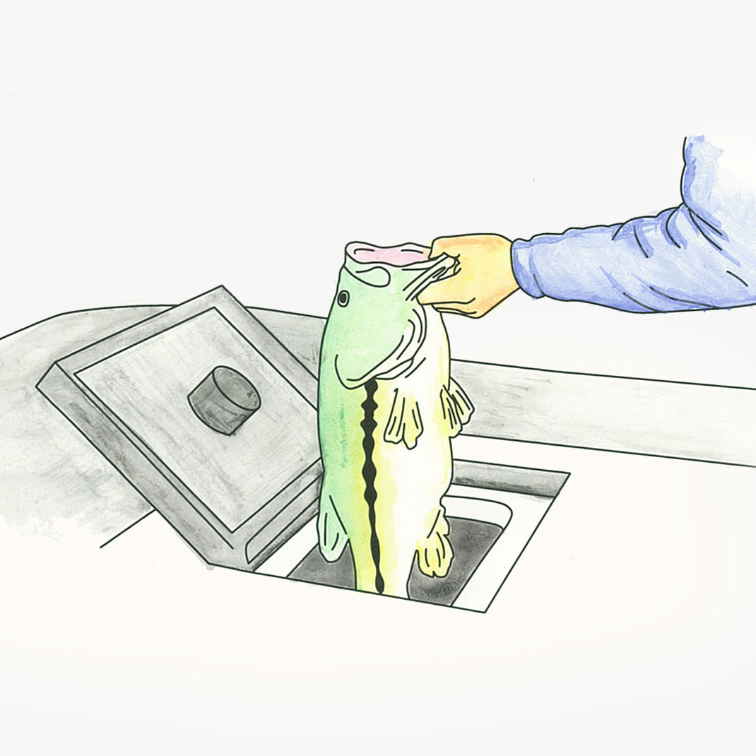 Bass Care 101 | AFTCO